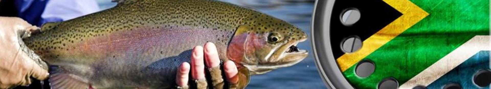 Flyfish South Africa