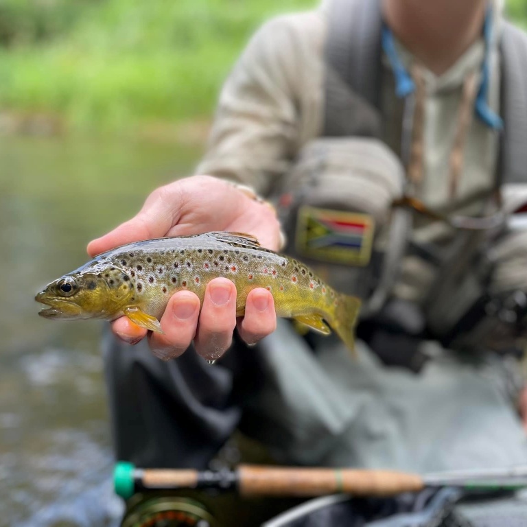 South African Fly Fishing Association